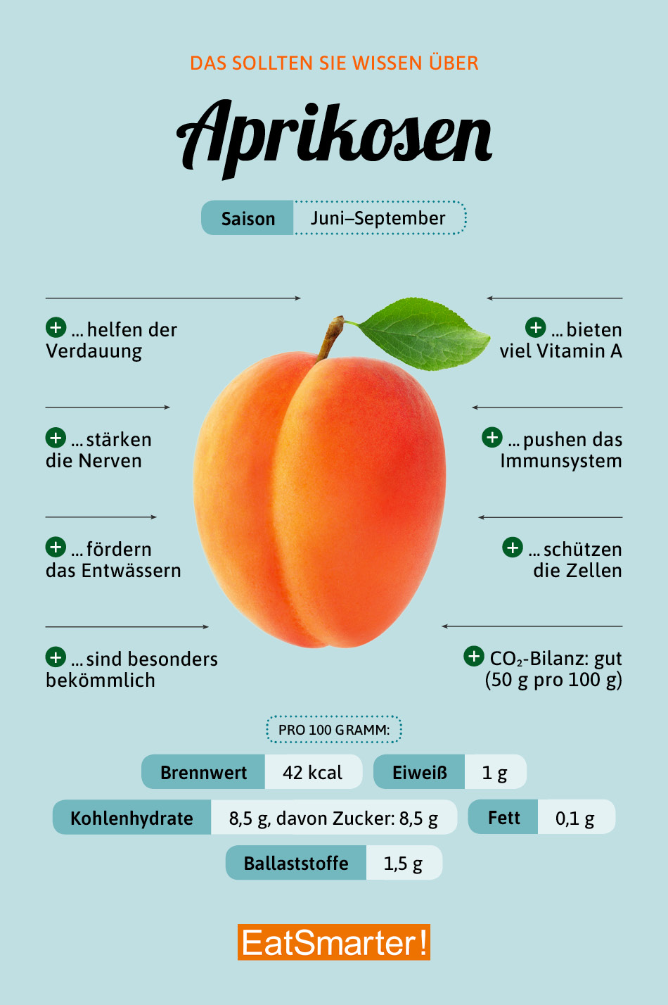 Aprikose | EAT SMARTER