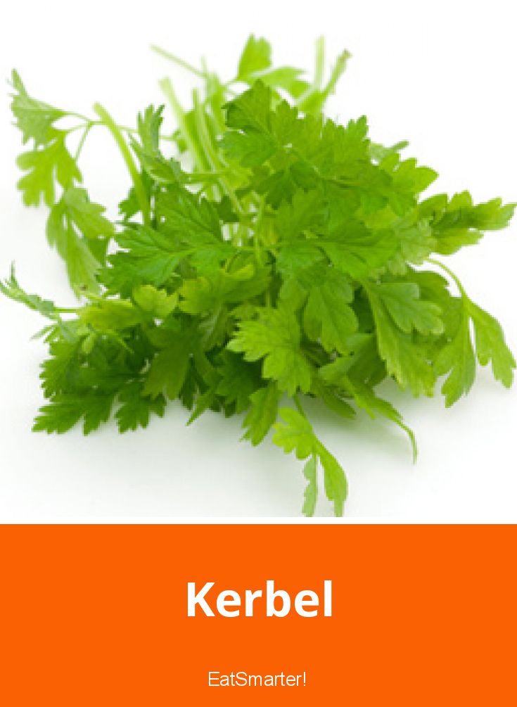 Kerbel | EAT SMARTER