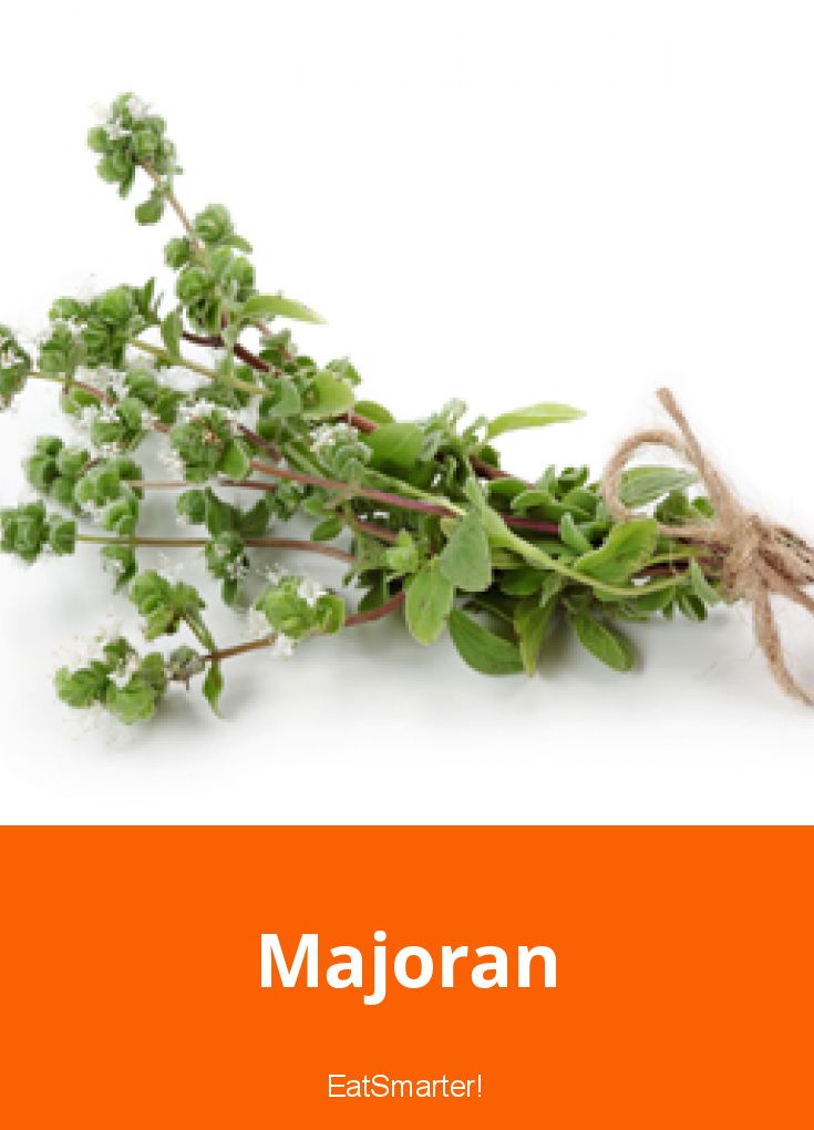 Majoran | EAT SMARTER