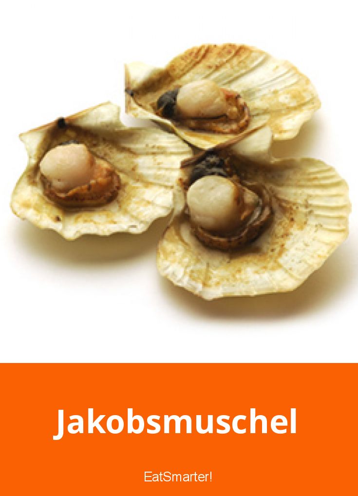 Jakobsmuschel | EAT SMARTER