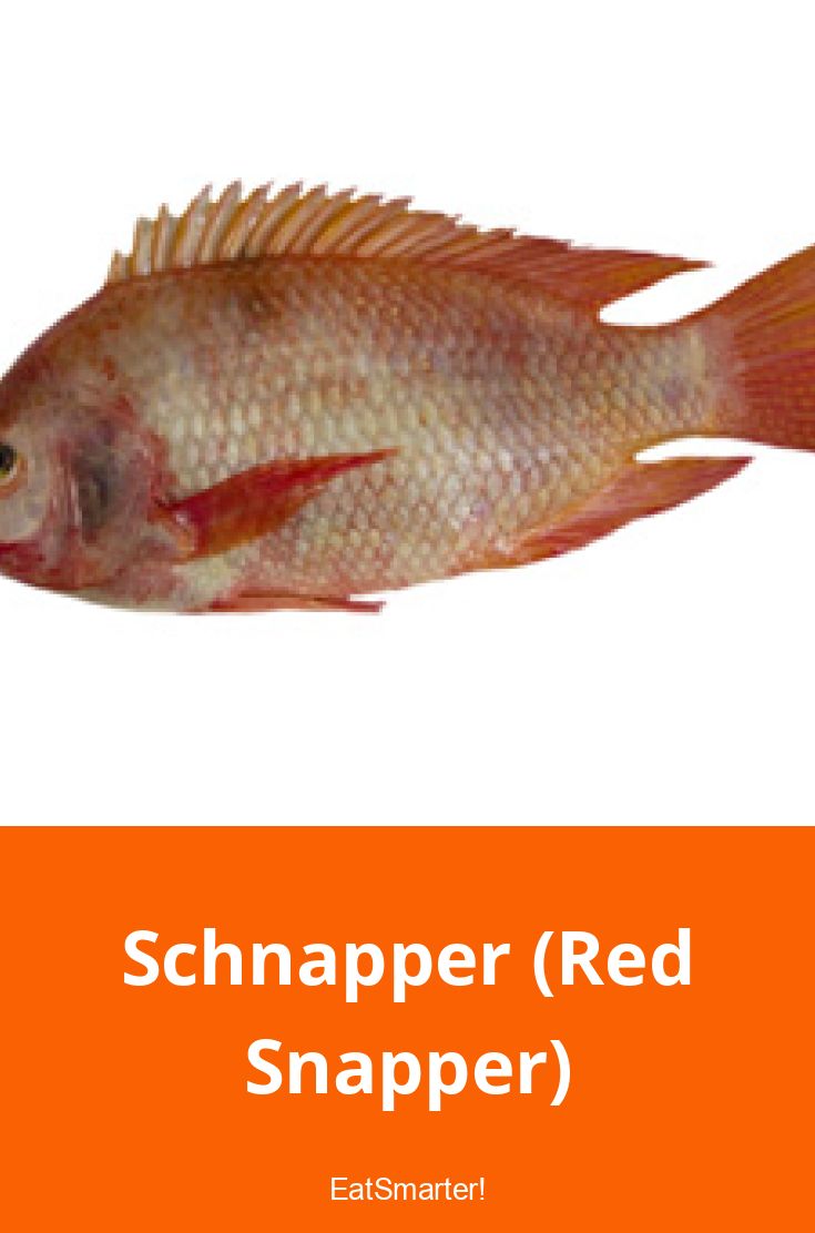 Schnapper (Red Snapper) | EAT SMARTER