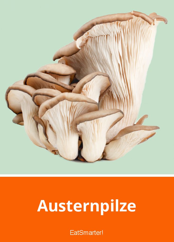 Austernpilze | EAT SMARTER