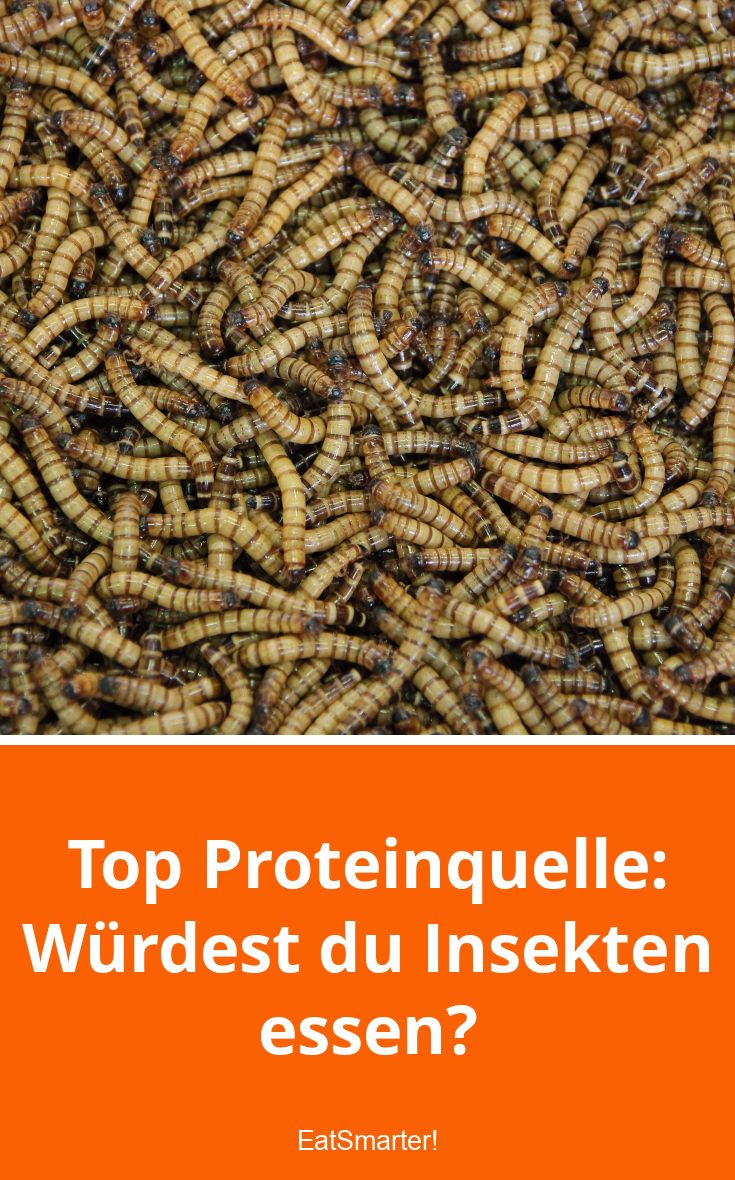 Insekten essen: So gesund sind die Minis wirklich | EAT SMARTER