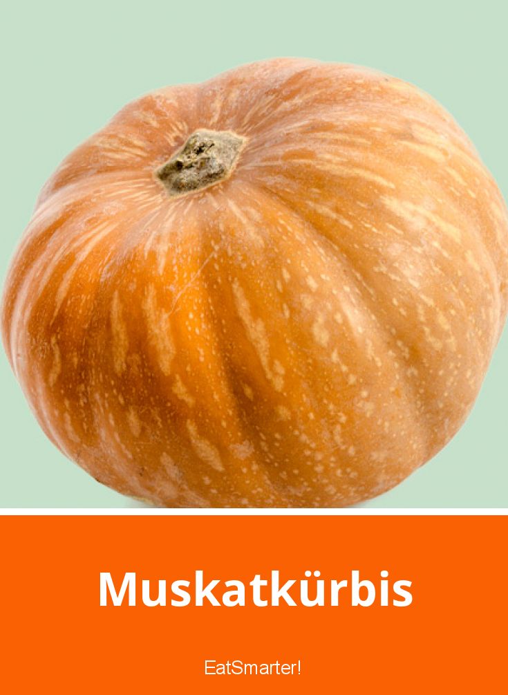 Muskatkurbis Wann Reif