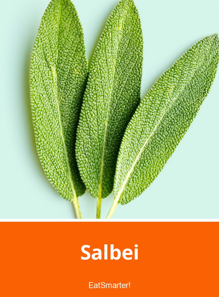 Salbei | EAT SMARTER