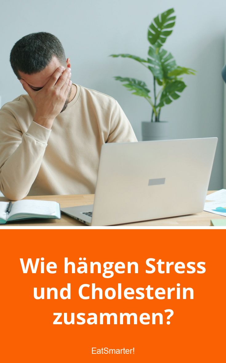Cholesterin Durch Stress