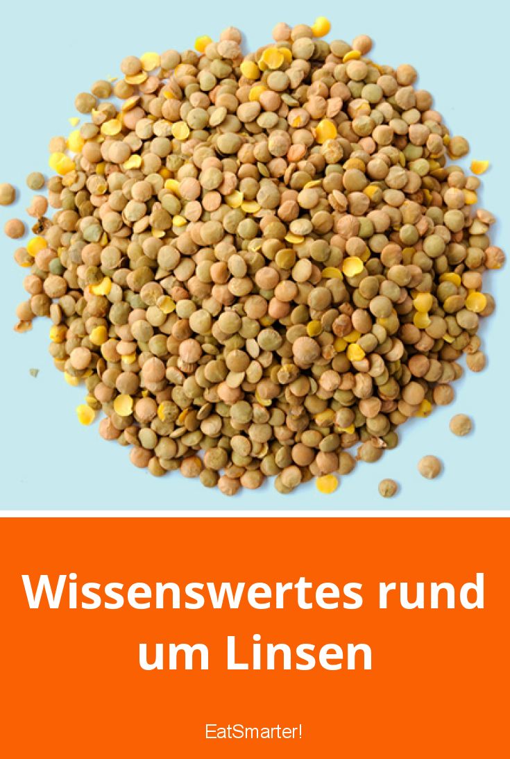 Linsen: Tipps und Wissen | EAT SMARTER