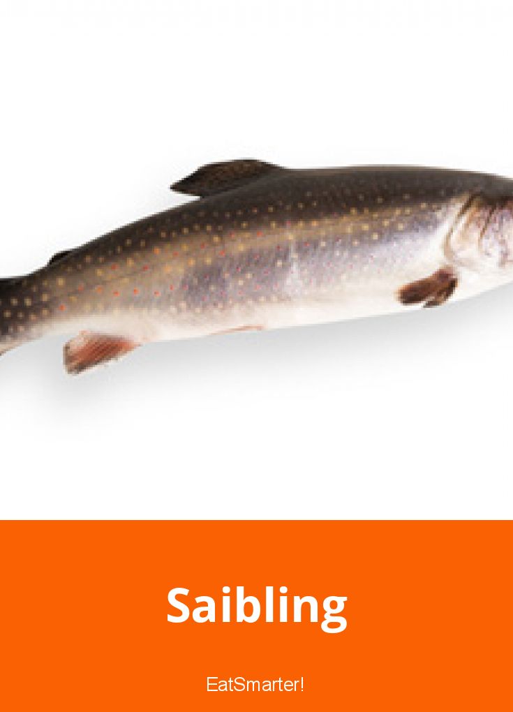 Saibling: Tipps und Wissen | EAT SMARTER