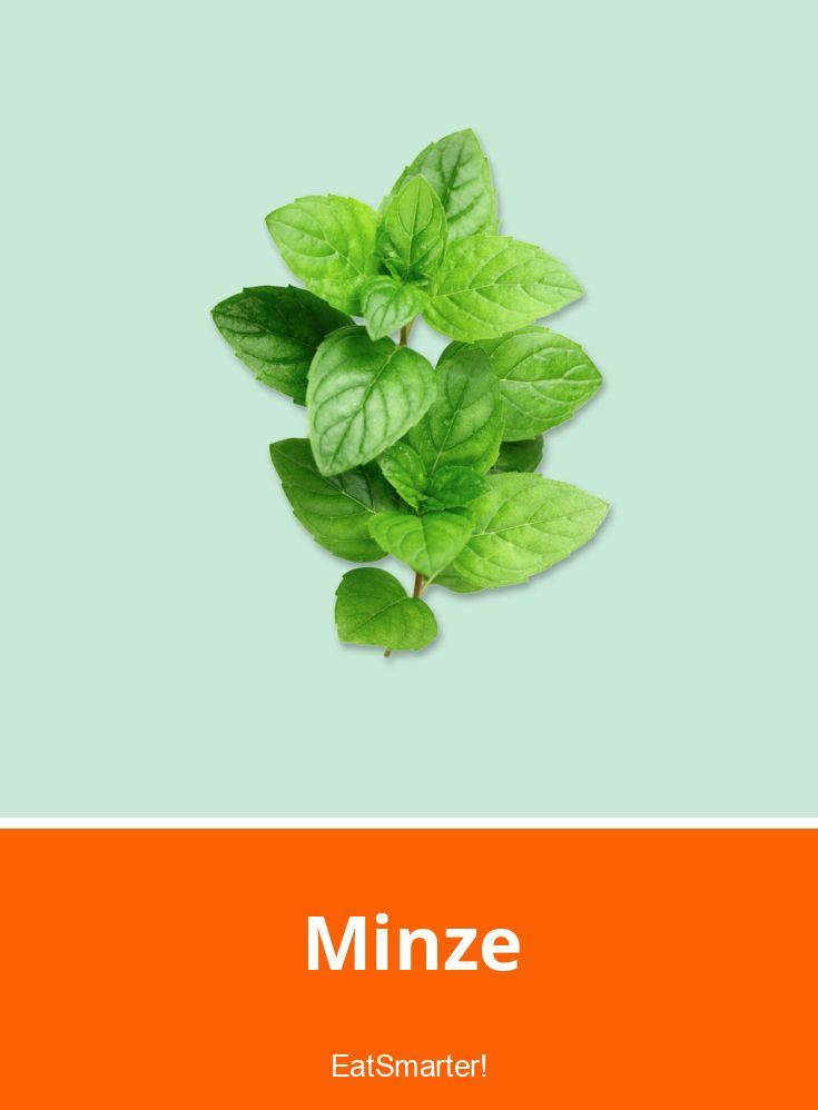 Minze | EAT SMARTER