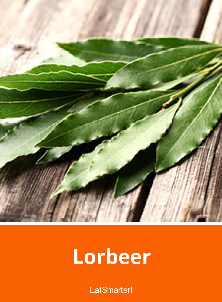 Lorbeer | EAT SMARTER