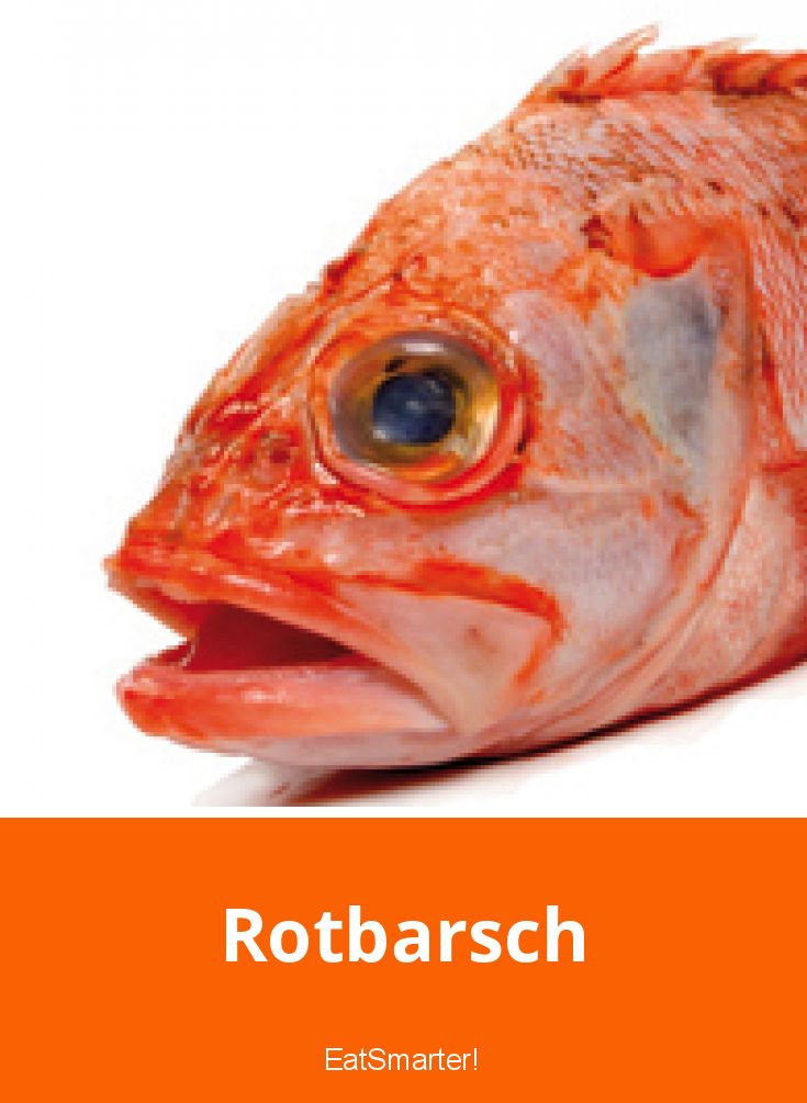 Rotbarsch | EAT SMARTER