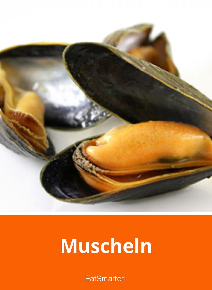 Muscheln | EAT SMARTER
