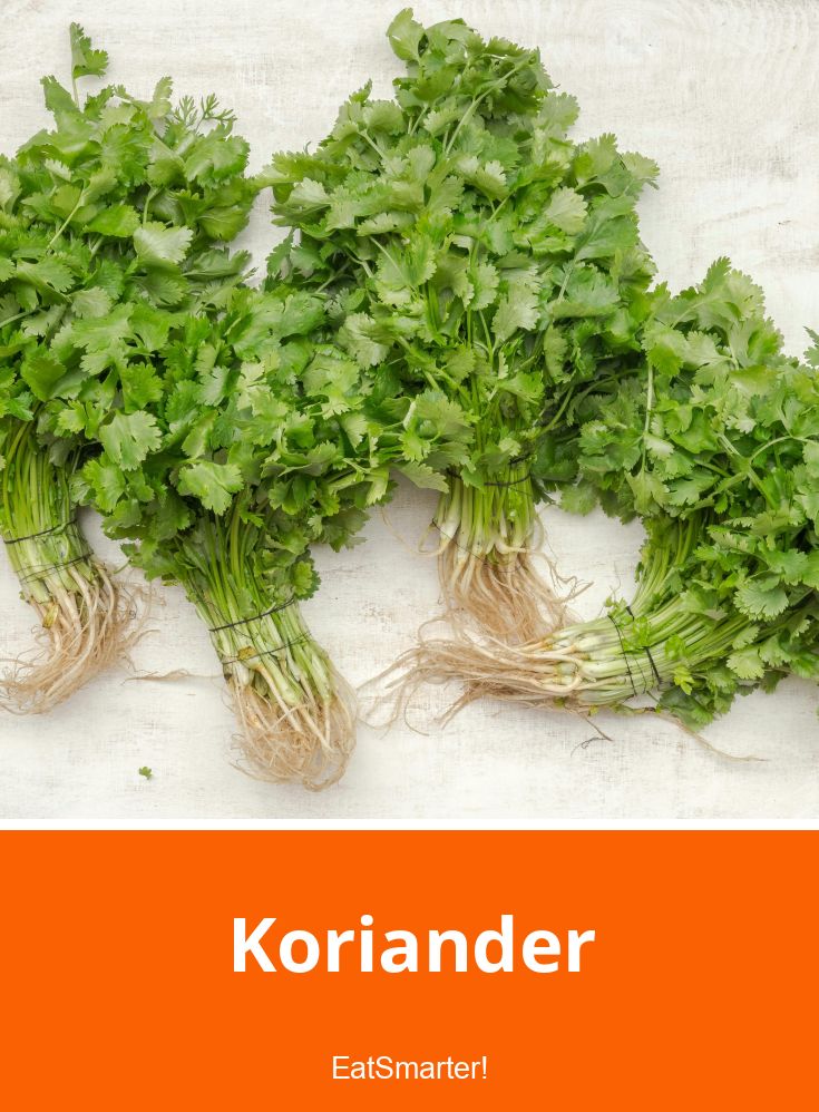 Koriander | EAT SMARTER