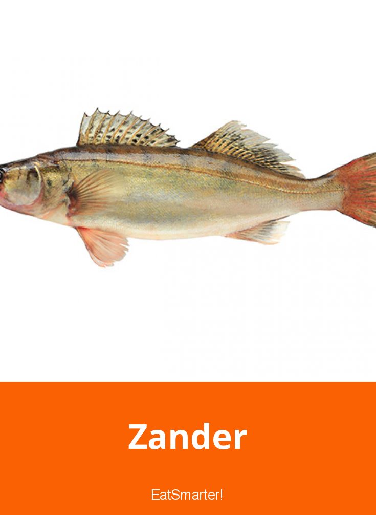 Zander | EAT SMARTER