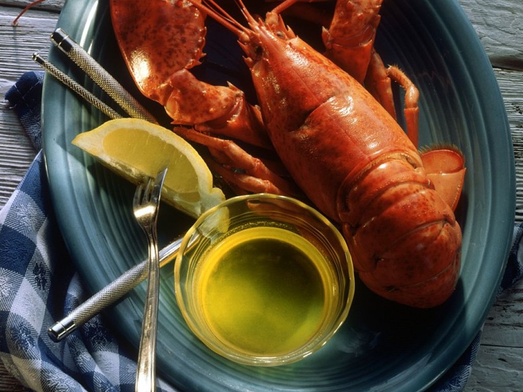 Gekochter Hummer Rezept | EAT SMARTER