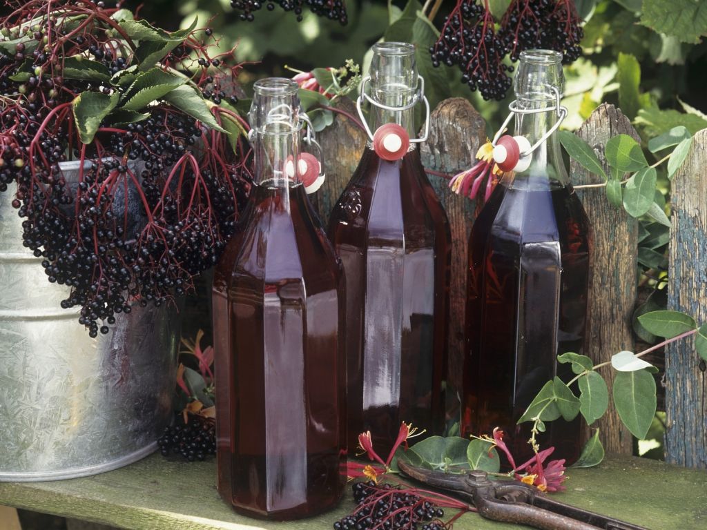 Holundersaft Rezept | EAT SMARTER