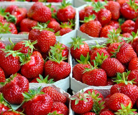 Öko-Test erklärt, warum Sie Erdbeeren saisonal genießen sollten | EAT ...