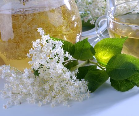 Holunderblütentee Rezept | EAT SMARTER