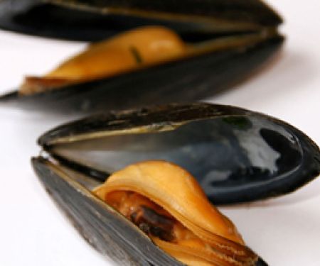 Darf man heute noch Muscheln essen? | EAT SMARTER