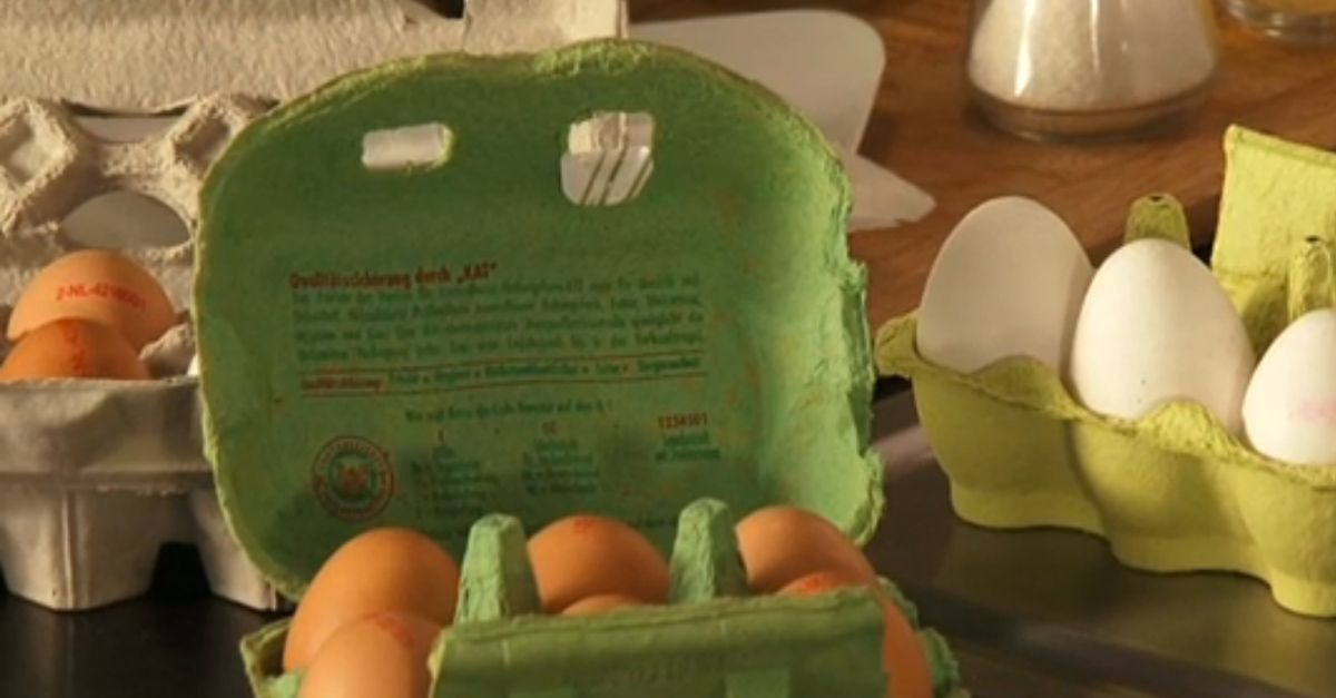 Wie Sie die Eier-Kennzeichnung richtig lesen | EAT SMARTER