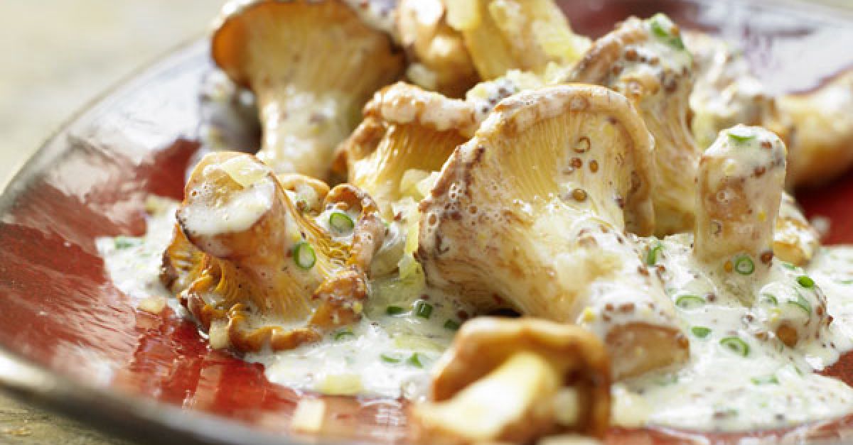Pilz-Rezepte | EAT SMARTER