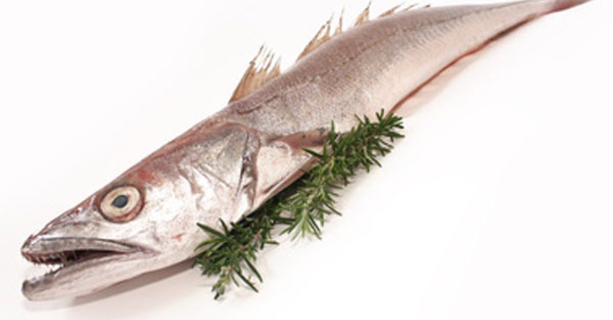 Seehecht | EAT SMARTER