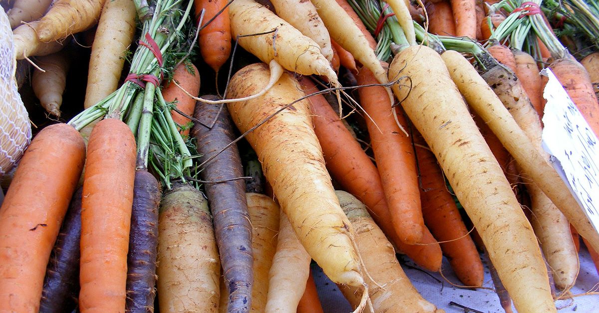 Wunderbares Wurzelgemüse | EAT SMARTER