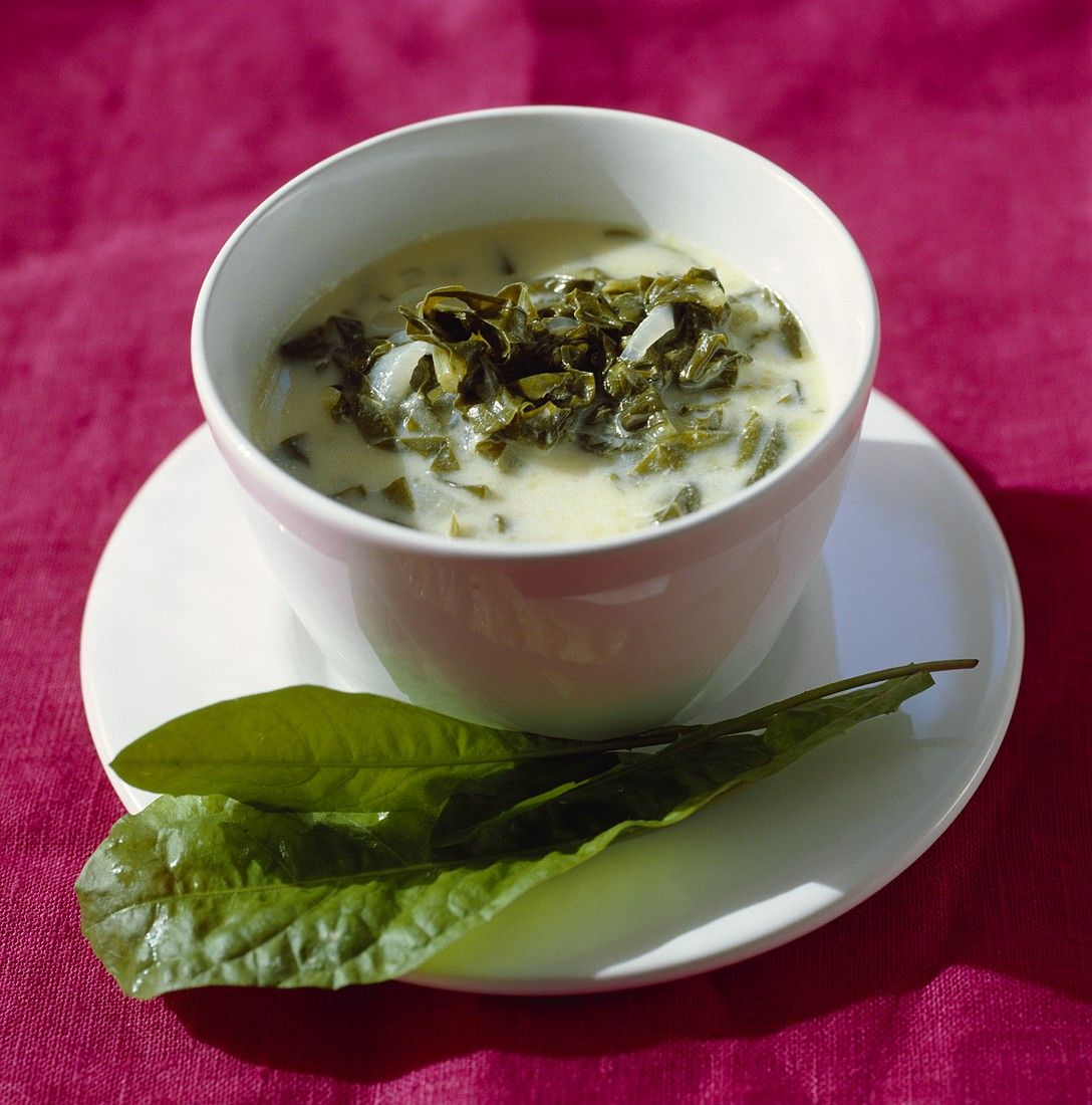 Kalte Suppe vom Sauerampfer Rezept | EAT SMARTER