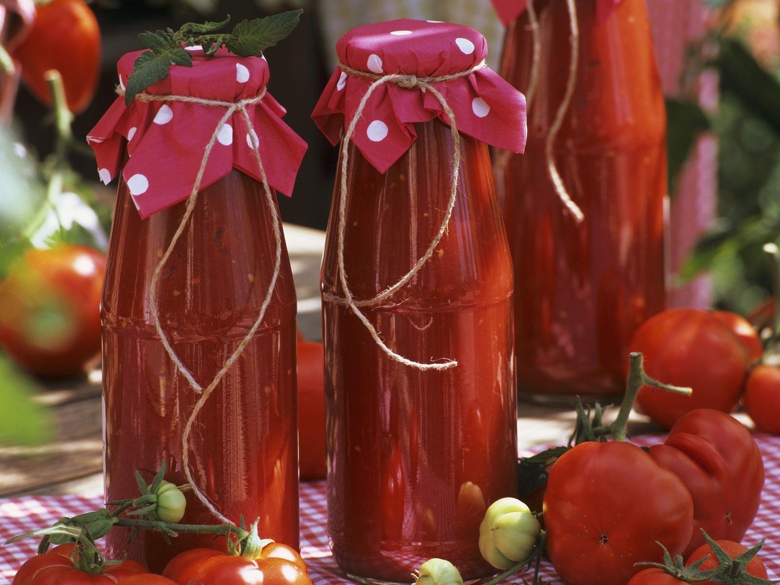 Tomatensugo Rezept | EAT SMARTER